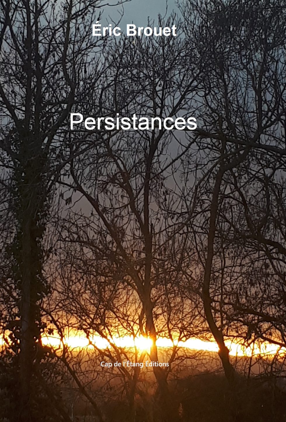 Éric Brouet - Cap de l’Étang Éditions